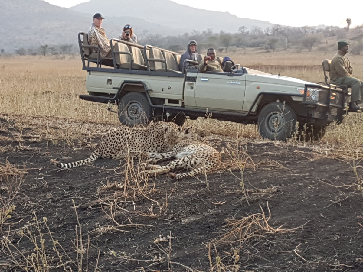 Foto's Zuid-Afrika - Zuid-Afrika.nl